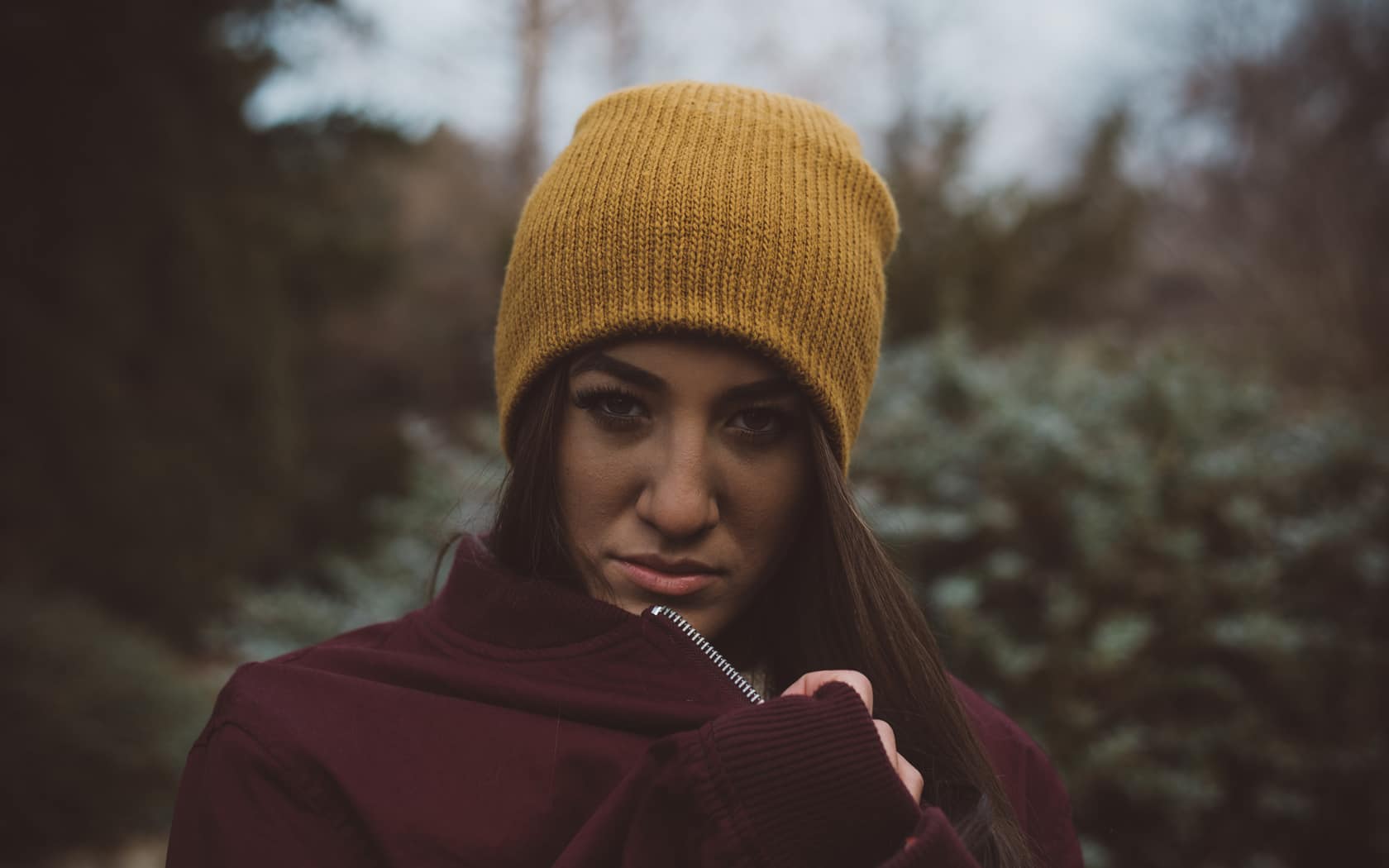 Gallery - Wandering Light